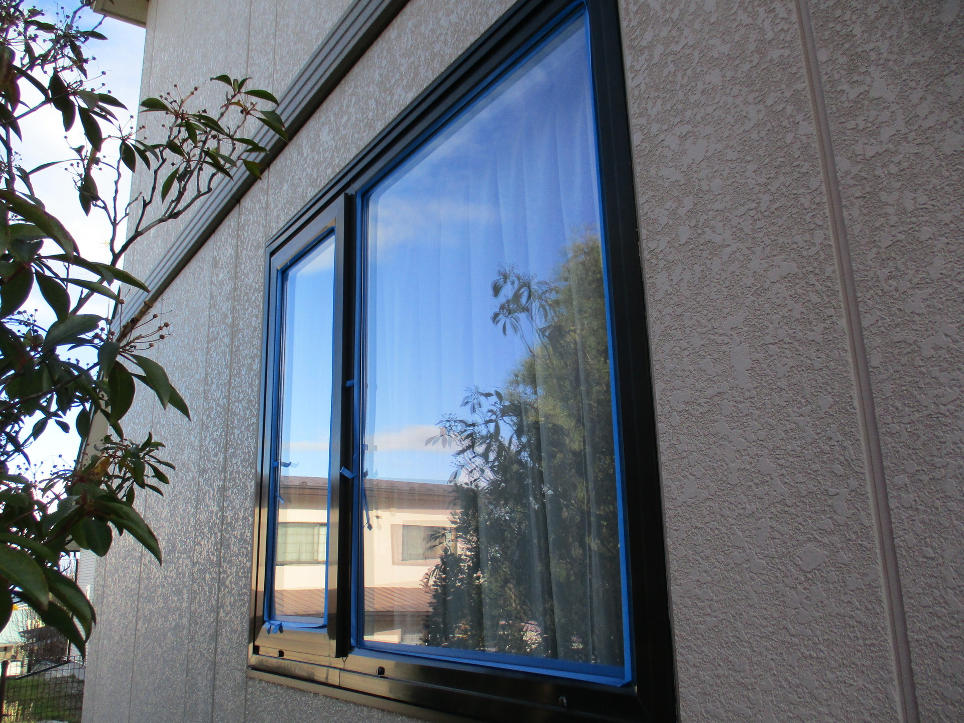 樹脂サッシに苔が！: 工房NDK何でも日記